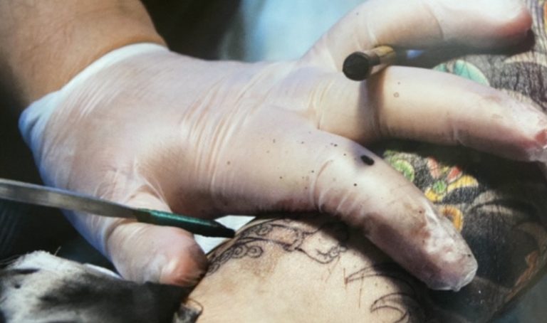 Tebori: Technique de tatouage japonais traditionnel au bambou - Guigui ...